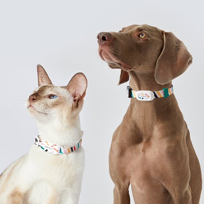 Smart Adjustable Pet Tracking Collars · Mavigadget