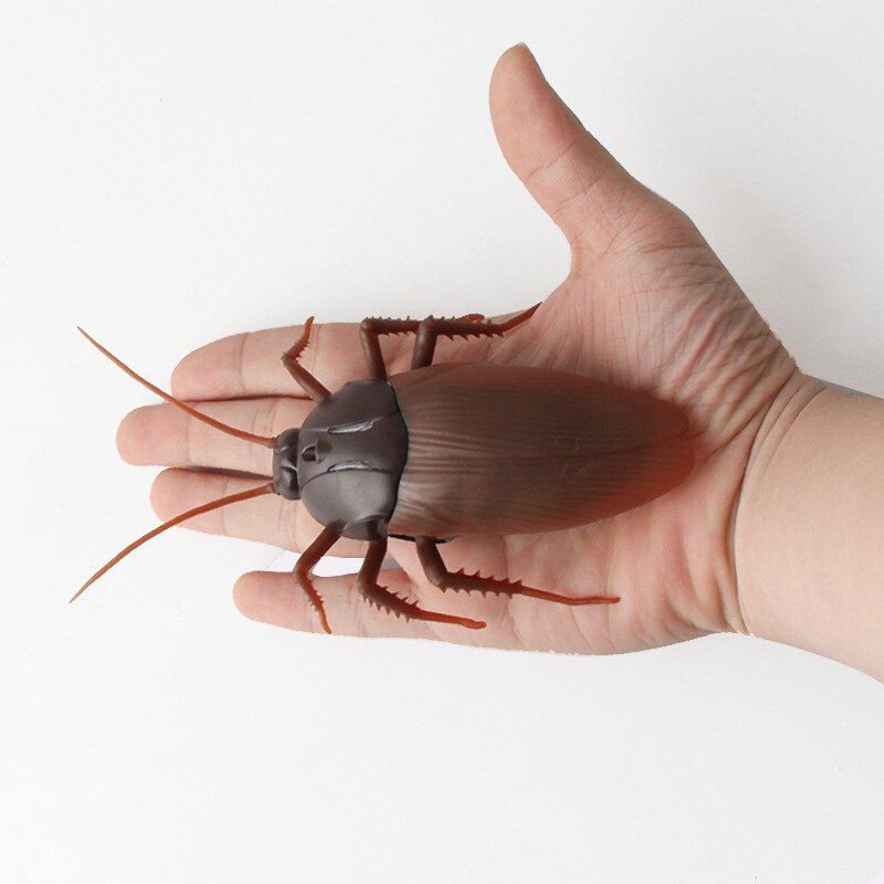 Remote Controlled Cockroach Bug Toy · Mavigadget