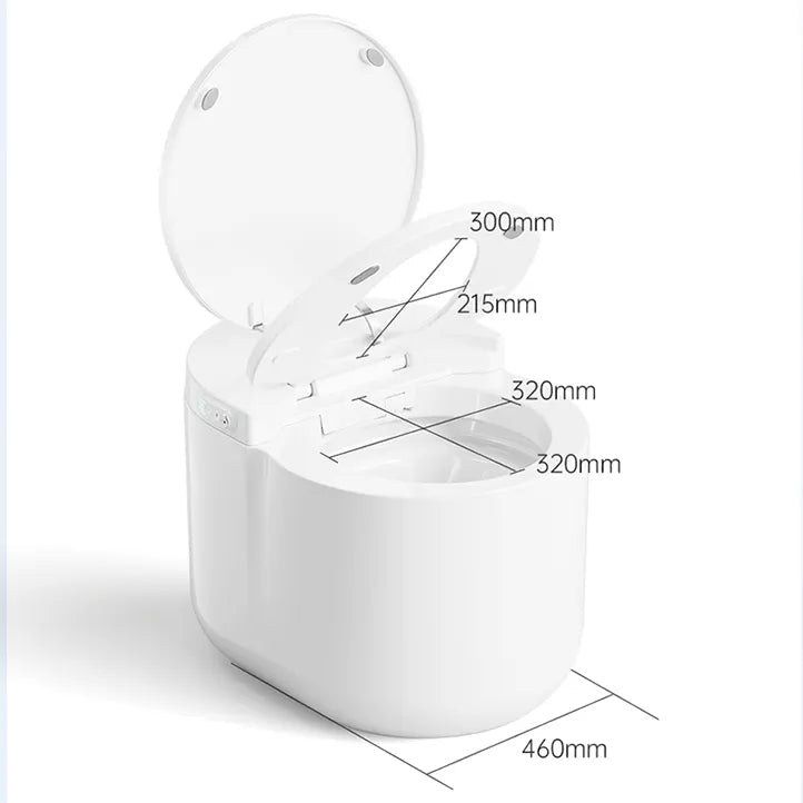 Instant Heat Compact Remote-Controlled Intelligent Automatic Bidet Toi ...