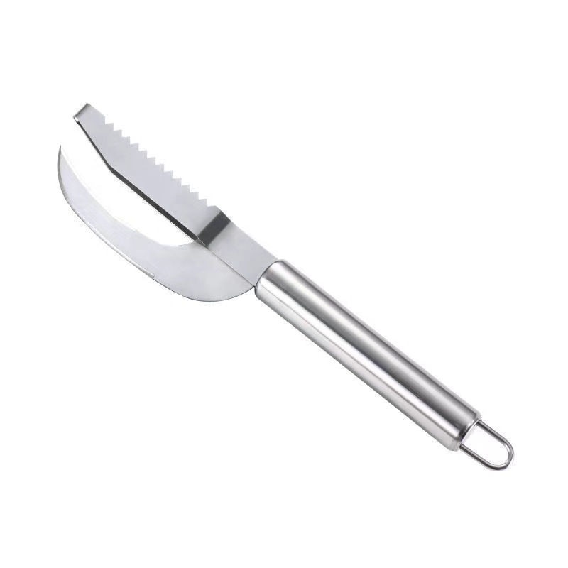 Stainless Steel Fish Cleaner Tool · Mavigadget