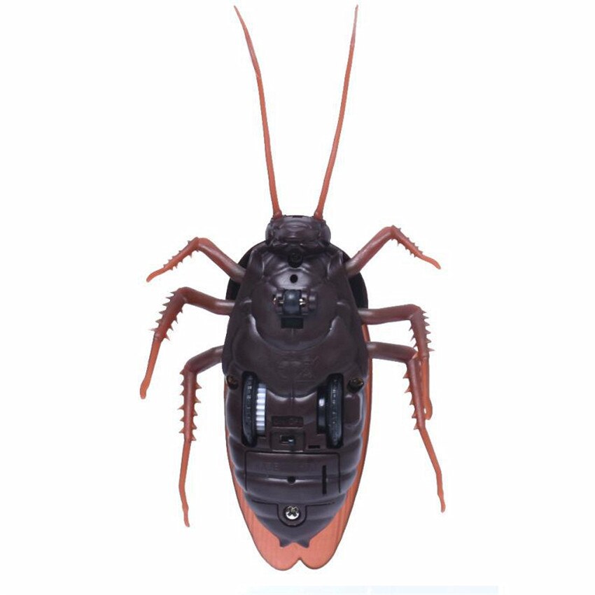 Remote Controlled Cockroach Bug Toy · Mavigadget