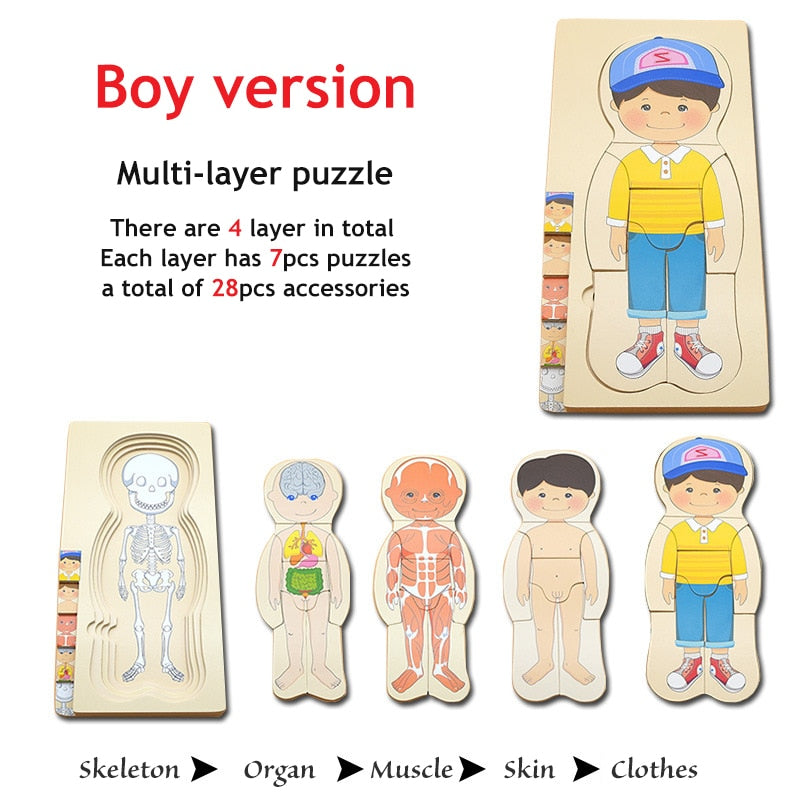 Anatomy Explorer Interactive Human Body Toy · Mavigadget